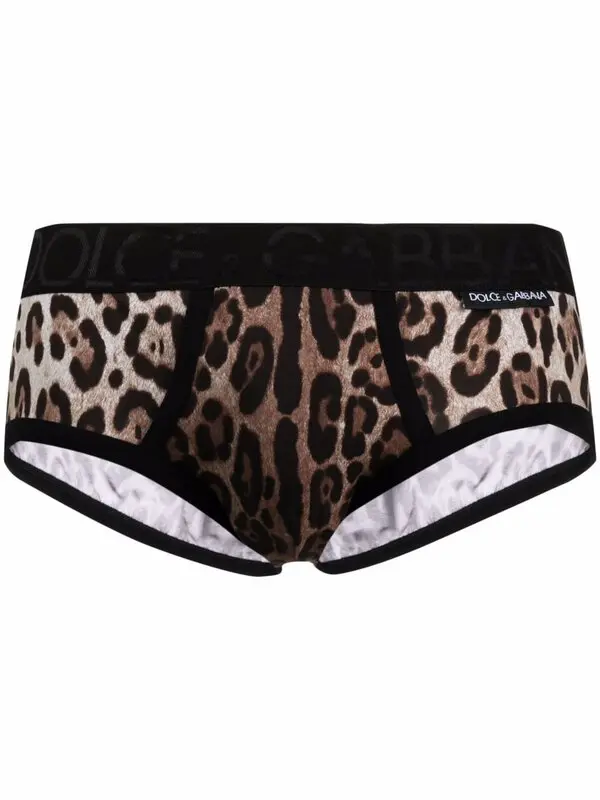 Dolce & Gabbana Leopard-print Boxer Briefs - Neutrals