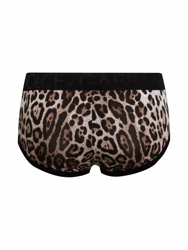 Dolce & Gabbana Leopard-print Boxer Briefs - Neutrals