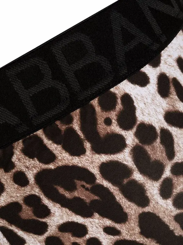 Dolce & Gabbana Leopard-print Boxer Briefs - Neutrals