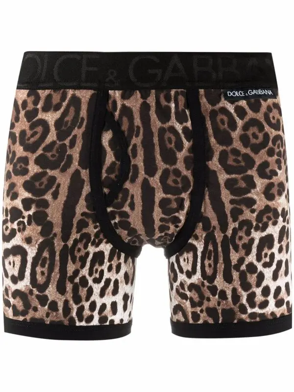Dolce & Gabbana Leopard-print Long-leg Briefs - Neutrals