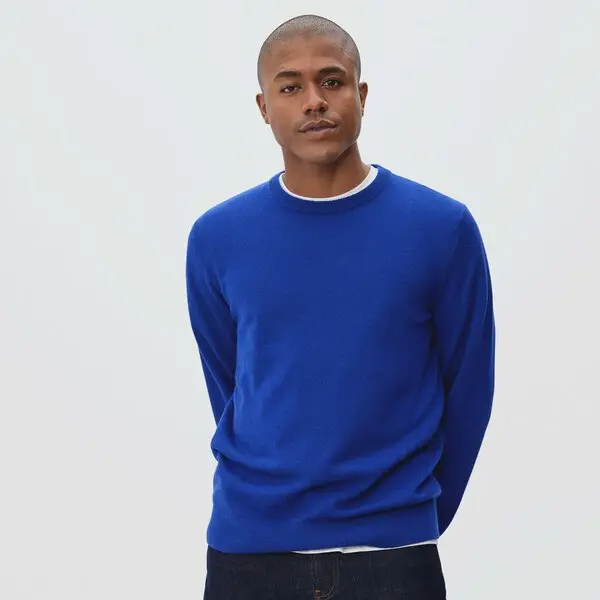 Everlane Grade-a Cashmere Crew Neck Sweater