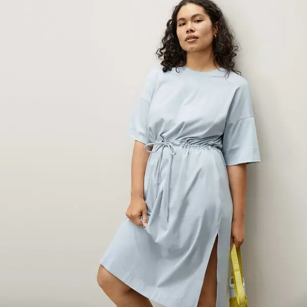 everlane luxe cotton dress Everlane Luxe Cotton Seamed Tank Dress
