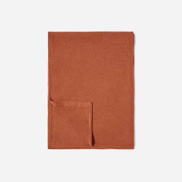 Everlane Cashmere Scarf - Cinnamon