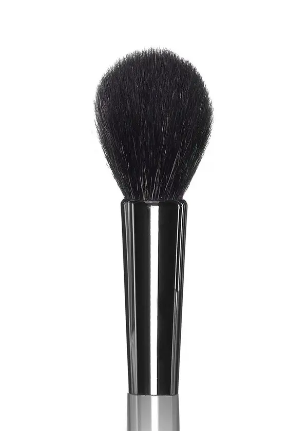 Trish Mcevoy Blending Brush - 48