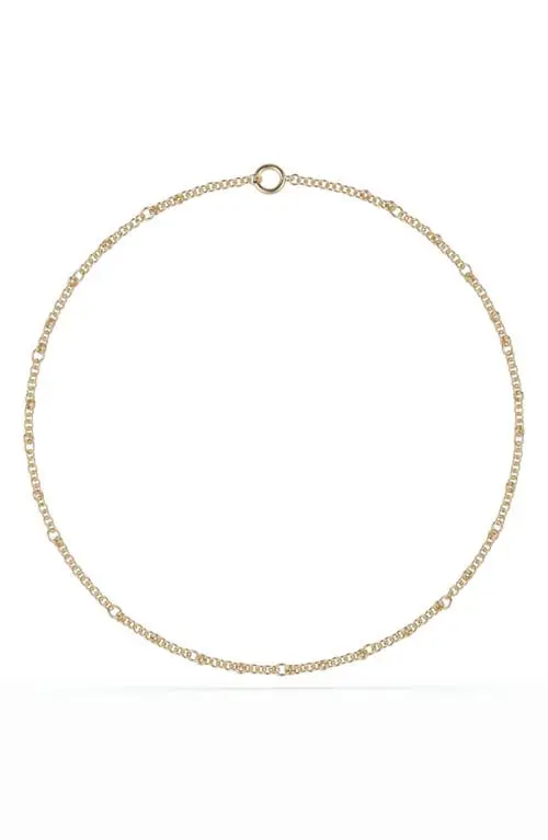 SPINELLI KILCOLLIN Gravity Chain Necklace - Yellow Gold
