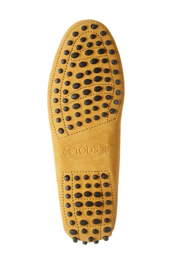 TOD'S Driving Penny Loafer - Girasole