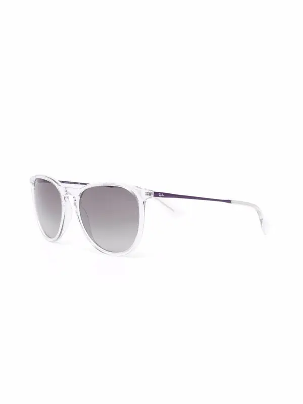 Ray-ban Pantos-frame Sunglasses