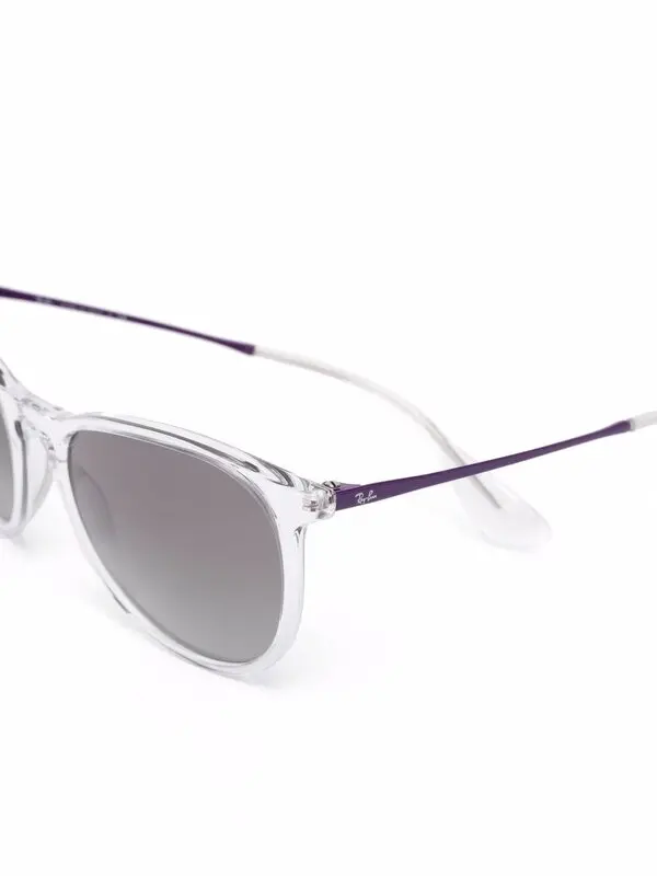 Ray-ban Pantos-frame Sunglasses