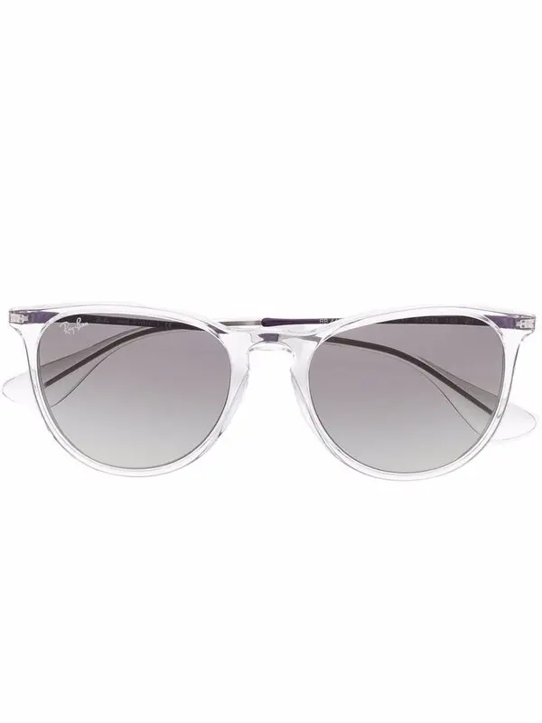 Ray-ban Pantos-frame Sunglasses