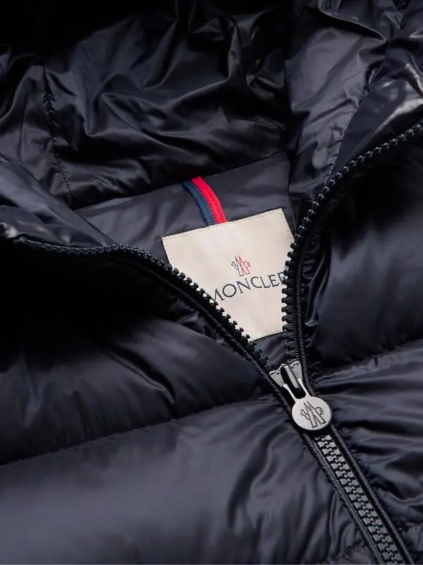 Moncler Salzman Logo-print Quilted Shell Down Jacket