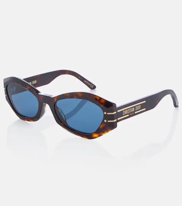 Dior Diorsignature B1u Sunglasses Brown Editorialist