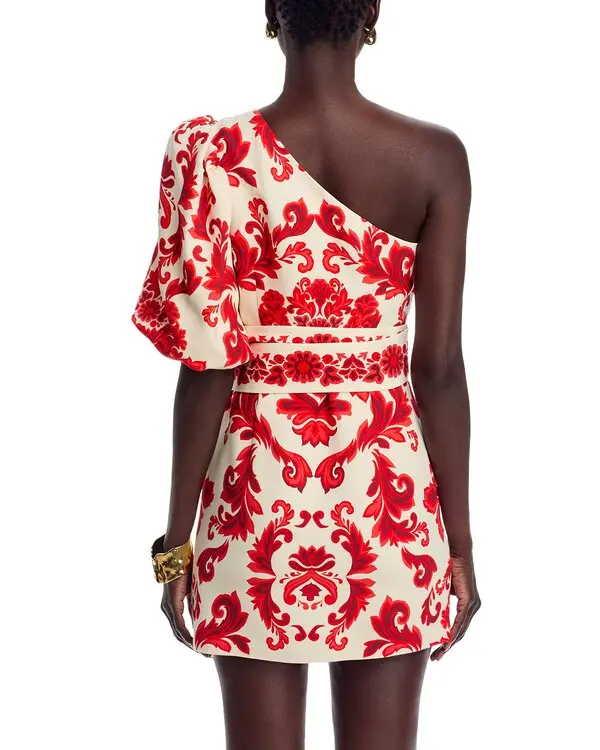 Cara Cara Lucia One Shoulder Mini Dress