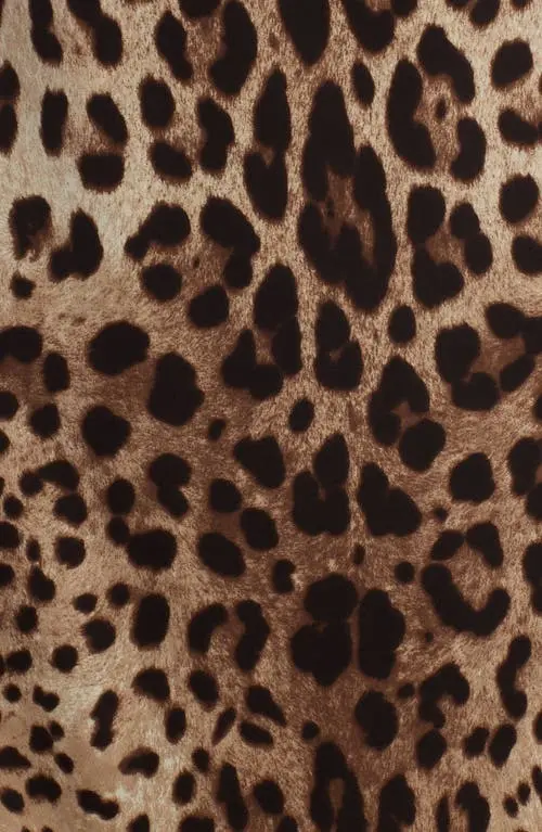 Dolce & Gabbana Leopard Print Silk Stretch Charmeuse A-line Dress - Light Brown Print