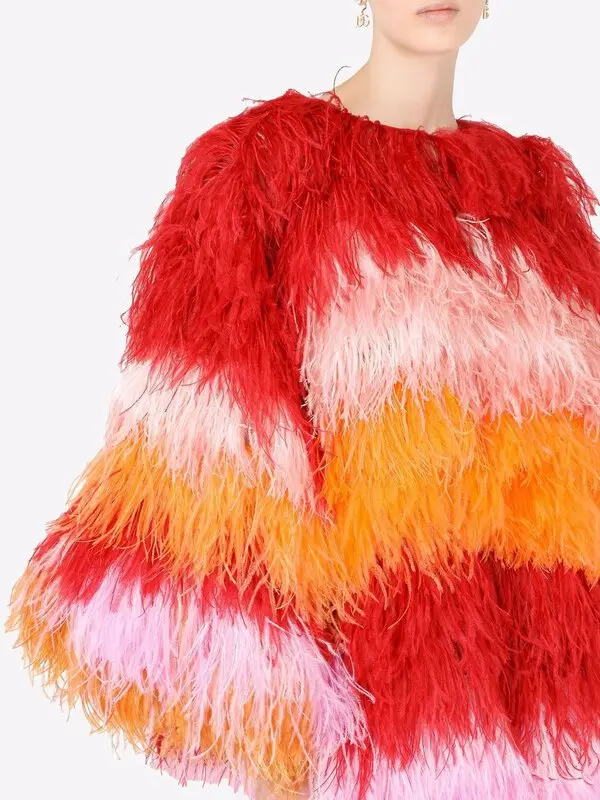 Dolce & Gabbana Striped Feather-embellished Coat
