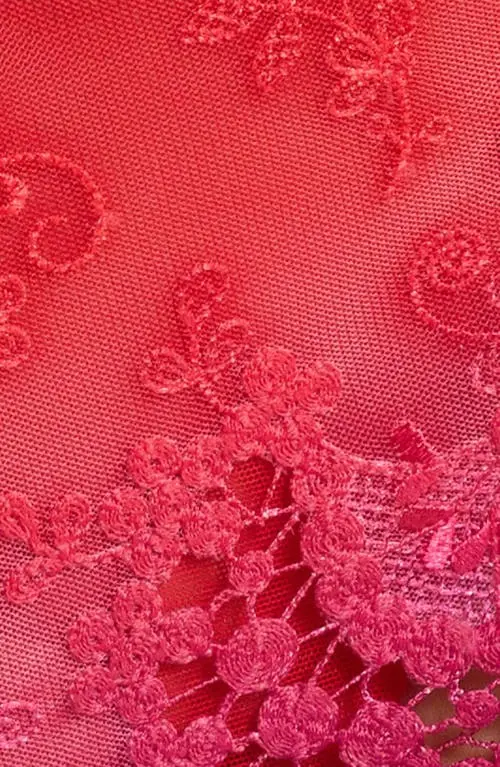 Simone Perele Wish Embroidered Boyshorts - Rainbow Red