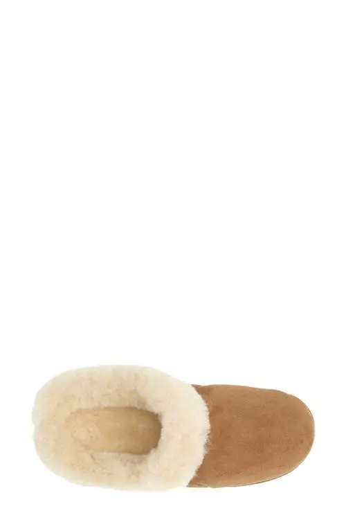 Acorn Genuine Shearling Mule Slipper