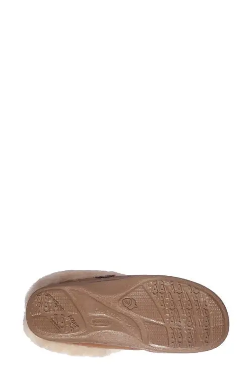 Acorn Genuine Shearling Mule Slipper