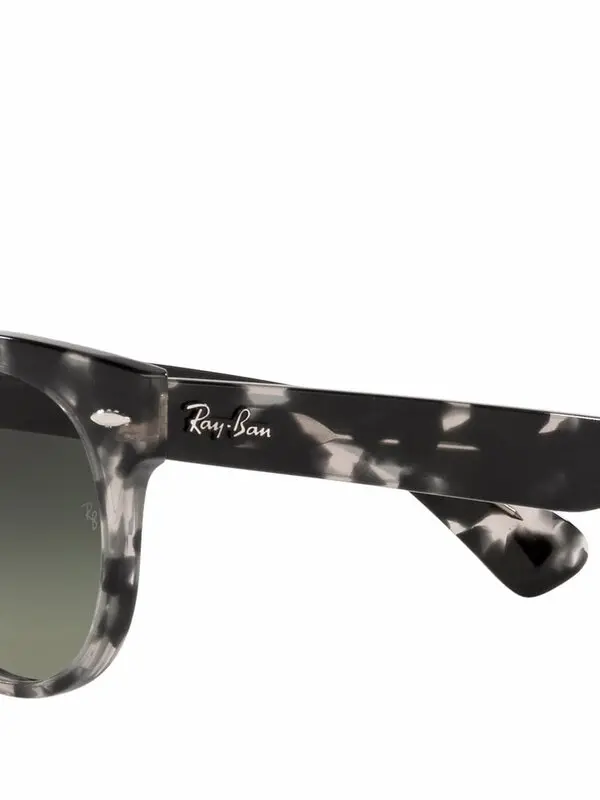 Ray-ban Orion Round-frame Sunglasses