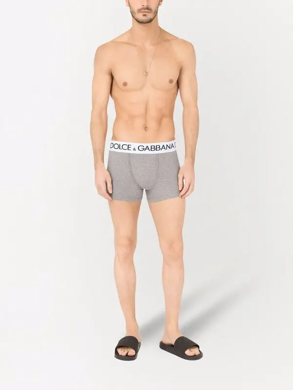 Dolce & Gabbana Logo-waistband Boxer Briefs - Grey