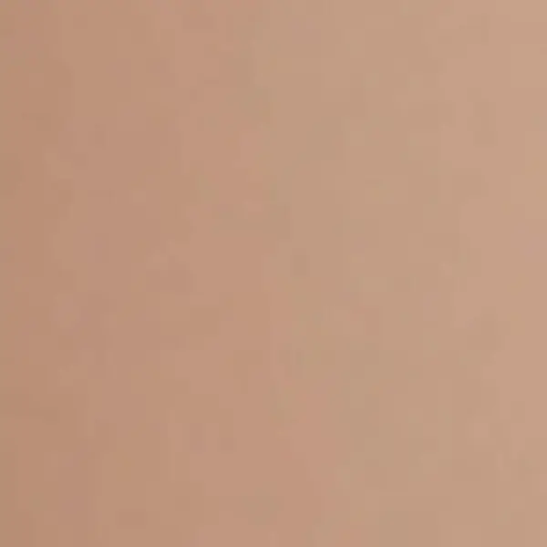 Rodial Peach Lowlighter - Gold