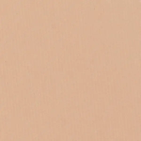 CHANTECAILLE Compact Makeup - Neutral