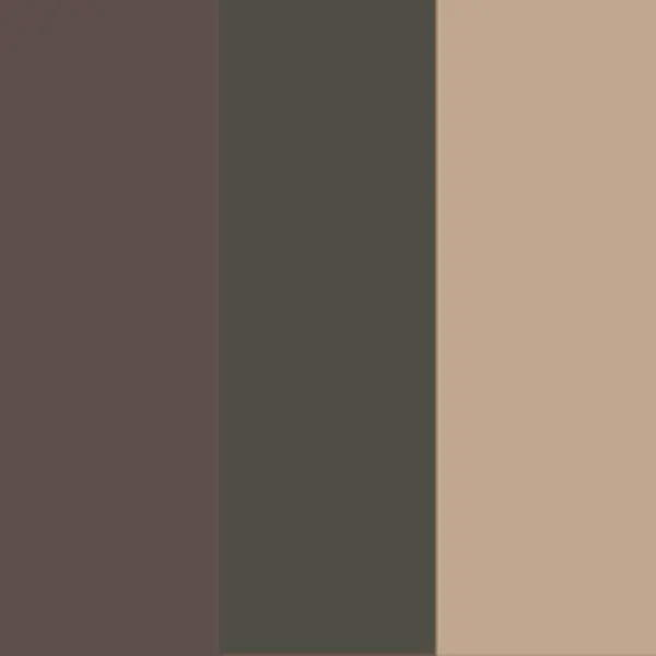 SUQQU 3d Control Eyebrow Palette - Brown