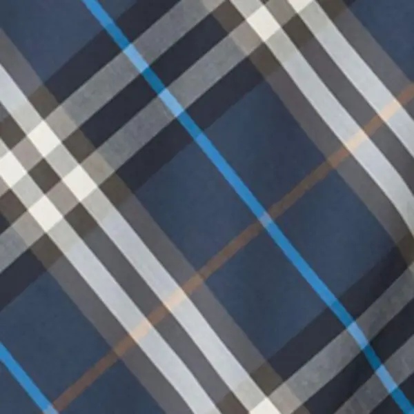 Burberry Cotton Poplin Check Shirt - Blue