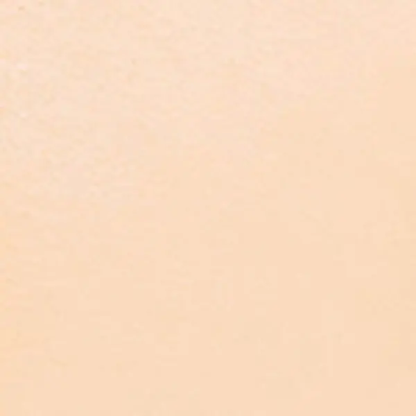 Estée Lauder Double Wear Stay-in-place Matte Powder Foundation Spf 10 - Neutral
