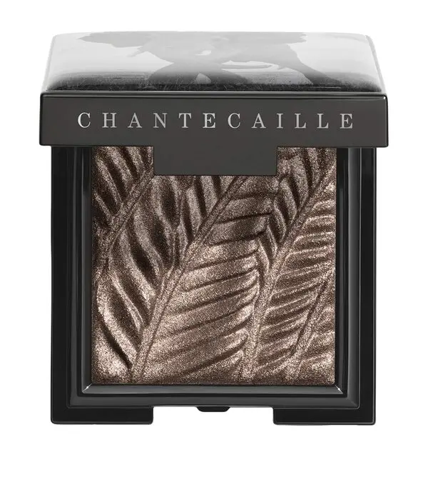 CHANTECAILLE Elephant Luminous Eye Shade - Grey