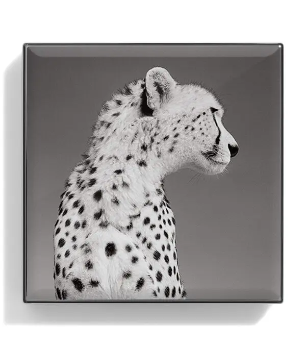 CHANTECAILLE Cheetah Luminous Eye Shade - Gold