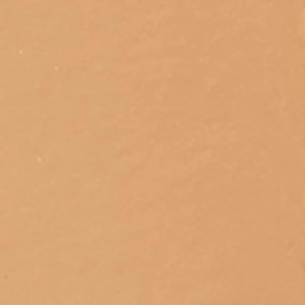 SHISEIDO Synchro Skin Powder Foundation