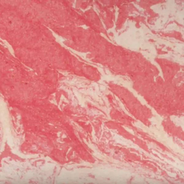 HOURGLASS Ambient Lighting Blush - Pink