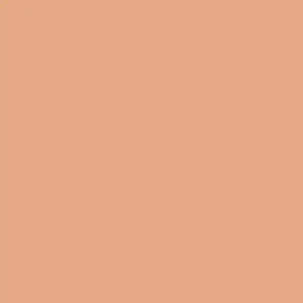 WESTMAN ATELIER Vital Skin Foundation Stick - Beige
