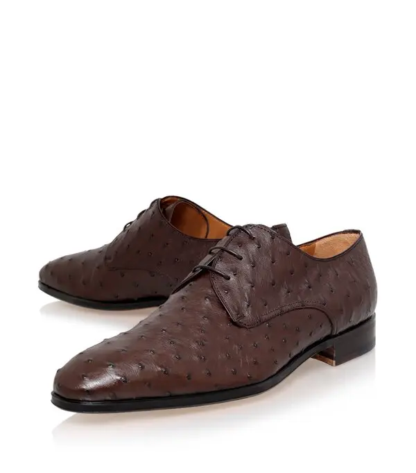 STEMAR Ostrich Derby Shoes - Brown