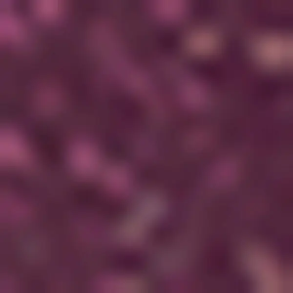 SENSAI Total Lip Gloss - Black