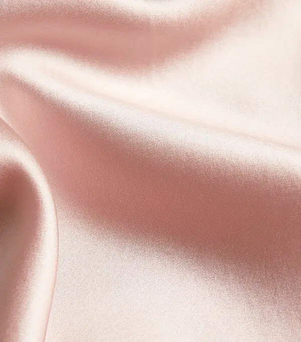 Olivia Von Halle Silk Issa Slip Dress