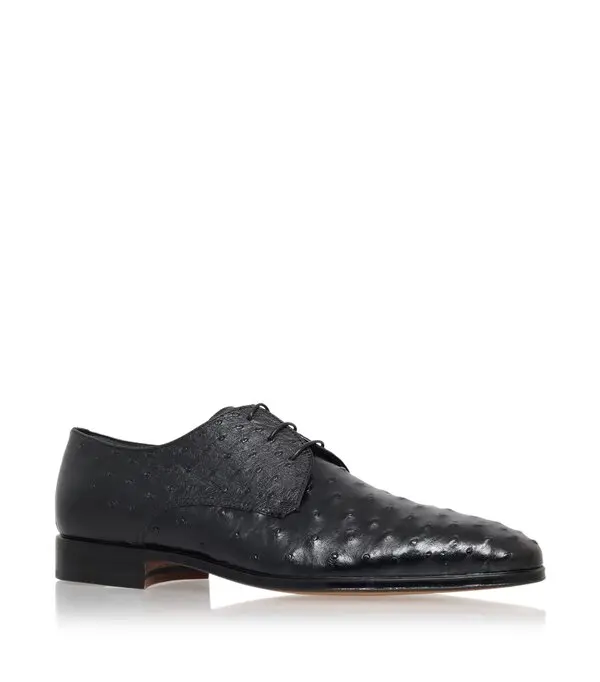 STEMAR Ostrich Derby Shoes - Black