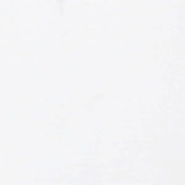 Hanro Cotton Seamless T-shirt - White