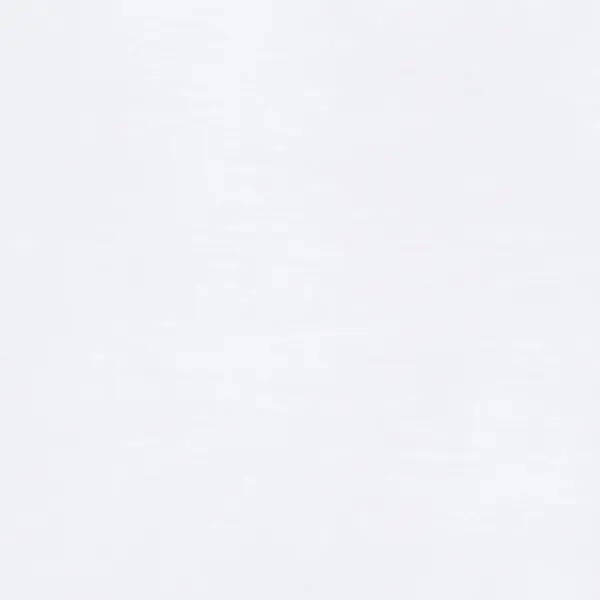 Hanro Cotton Seamless Tank Top
