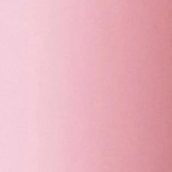 ERBORIAN Pink Blur Stick