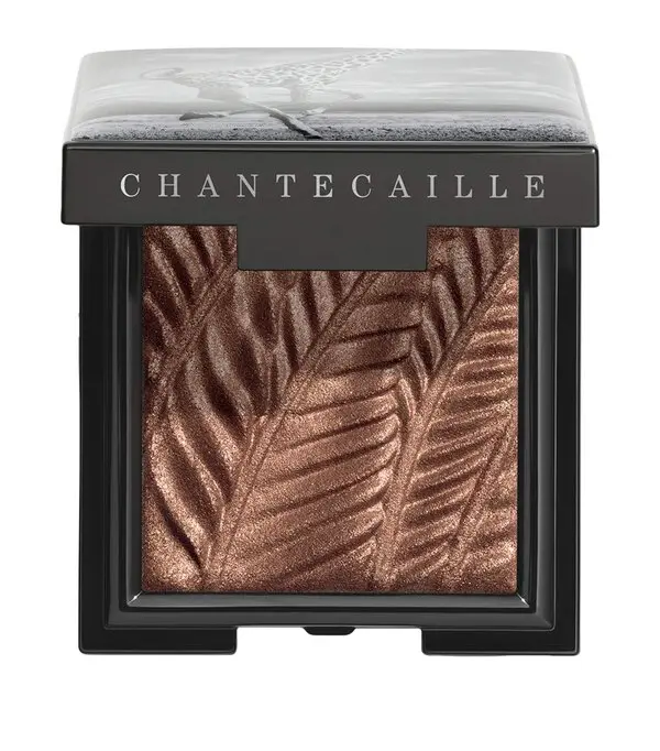 CHANTECAILLE Giraffe Luminous Eye Shade - Brown