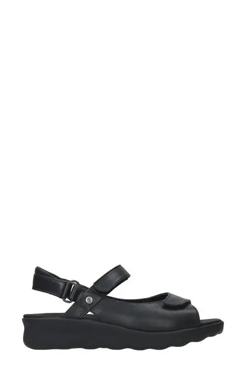 WOLKY Pichu Quarter Strap Sandal