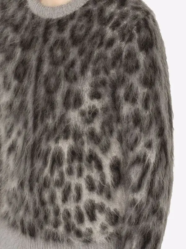 Dolce & Gabbana Leopard-print Jumper