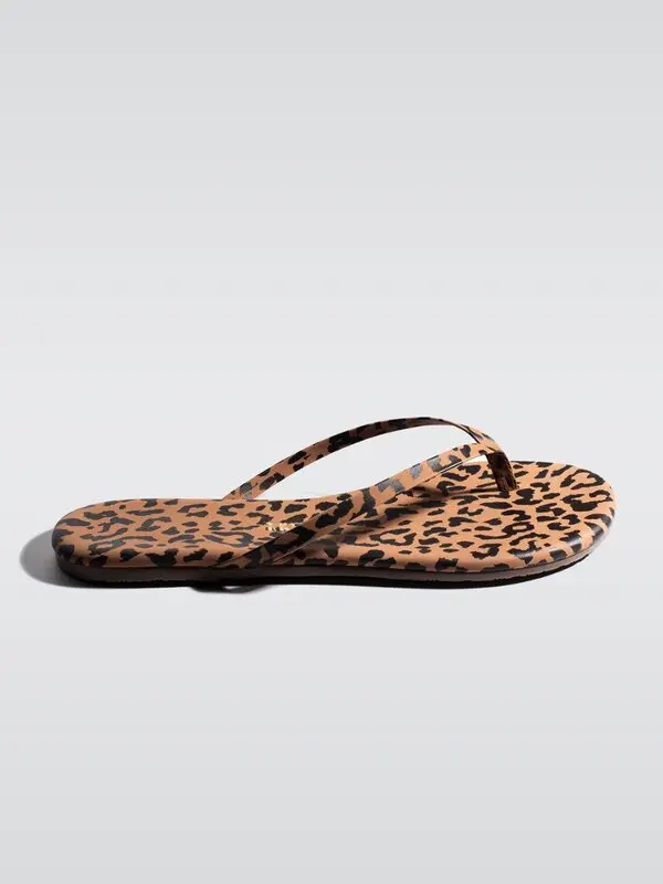Tkees Studio Exotic