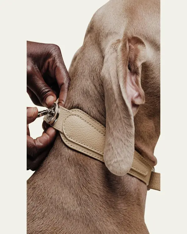 PAGERIE The Dorro Dog Collar - Sand