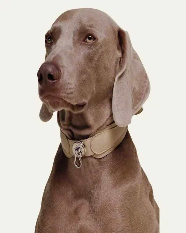 PAGERIE The Dorro Dog Collar - Sand