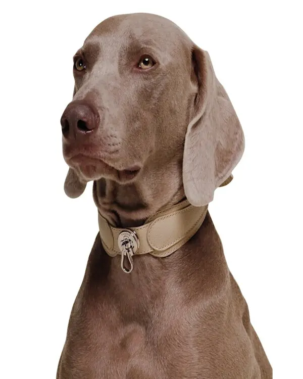PAGERIE The Dorro Dog Collar - Sand