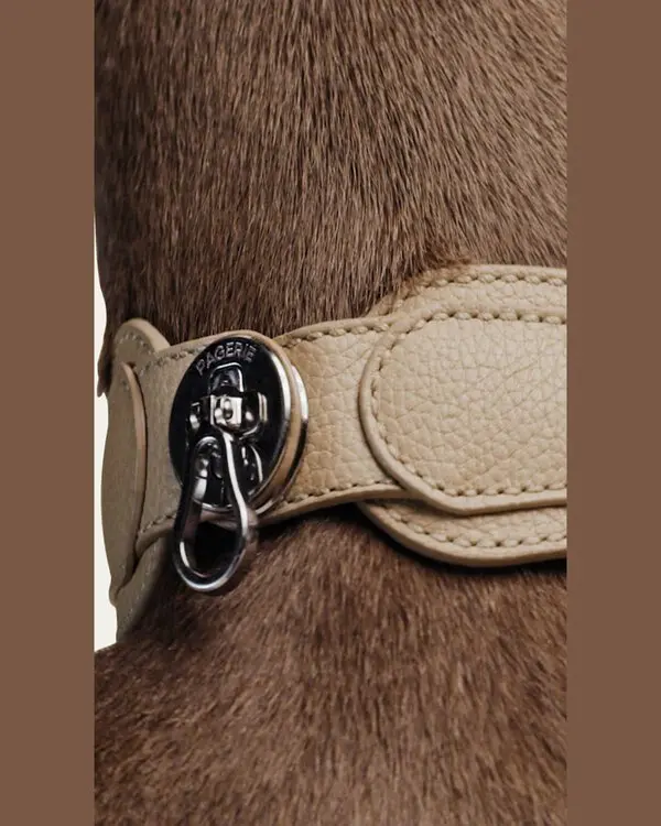 PAGERIE The Dorro Dog Collar - Sand