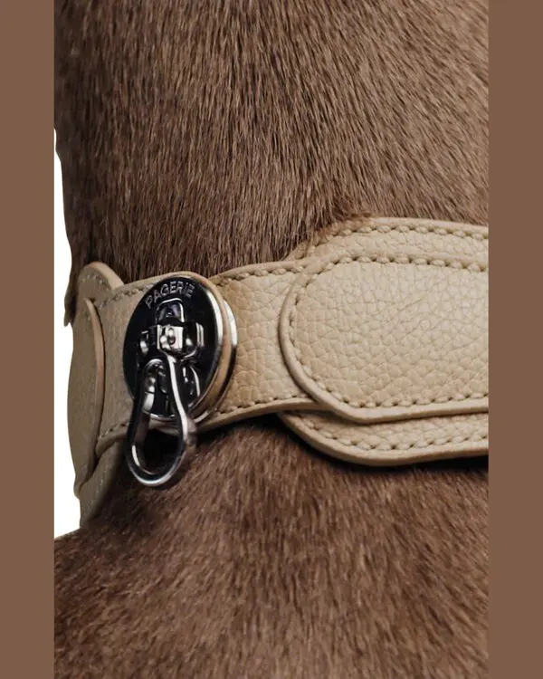 PAGERIE The Dorro Dog Collar - Sand