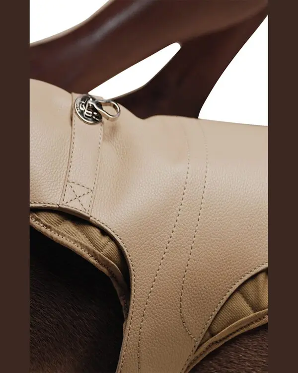 PAGERIE Leather Dog Harness